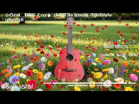 Tik Tok Azerbaycan 7/24 canli yayin