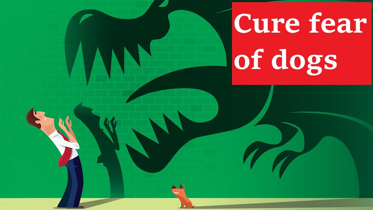 A woman who has been afraid of dog for 40 years Cure fear of dog ...