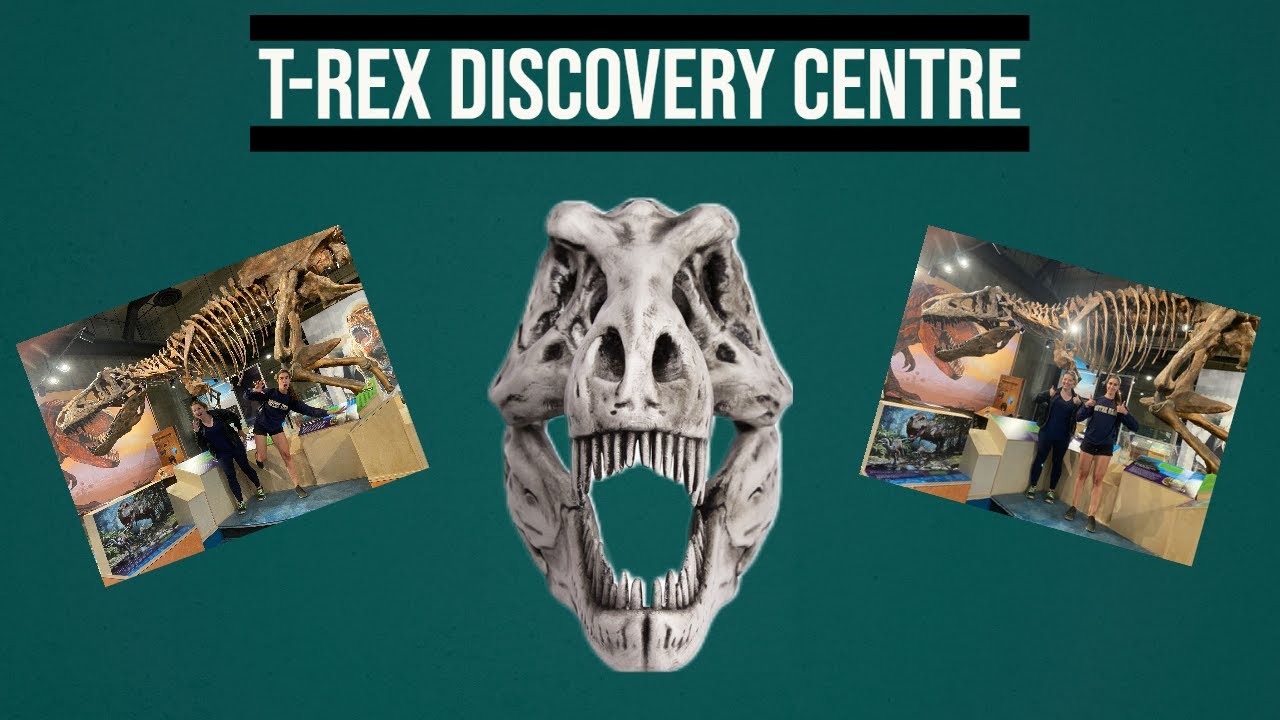T.rex Discovery Centre - YouTube