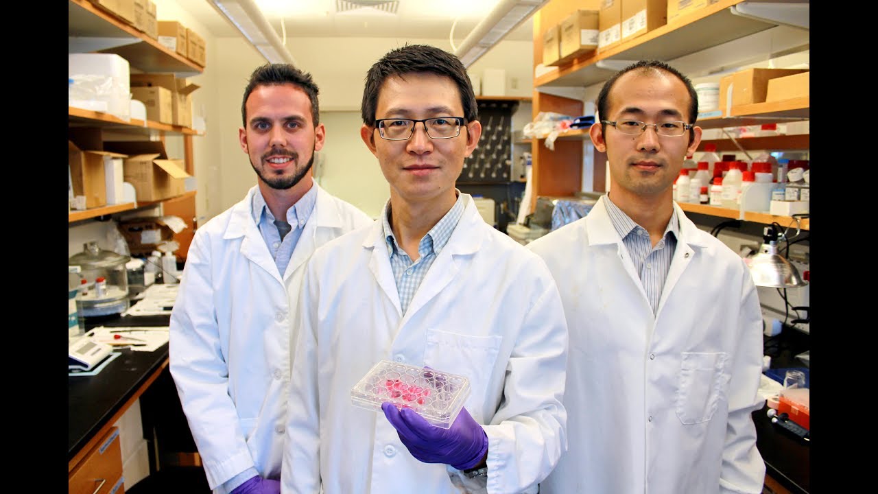 Back to Nature: biocircuit engineering research at The Ohio State ...