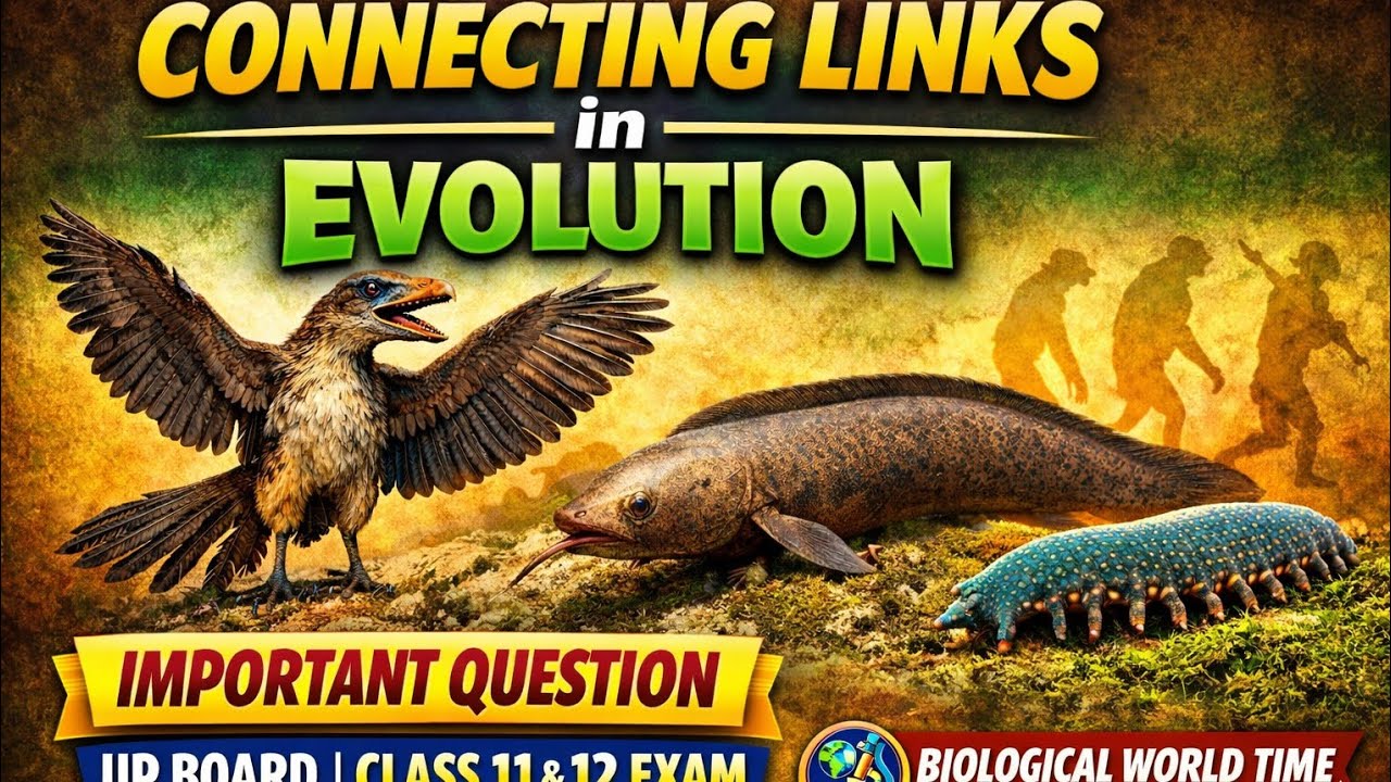 Connecting Links in Biology | Euglena, Peripatus, Neopilina ...