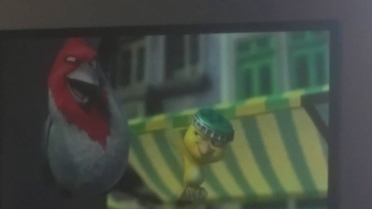 Bird vs monkey - YouTube