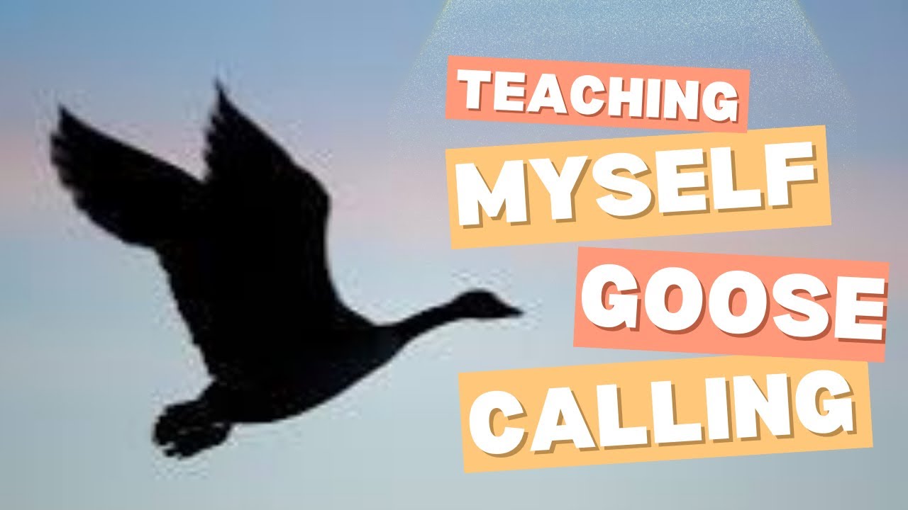 Goose Calling w/ CS custom calls Disciple day 6 of learning | help me ...