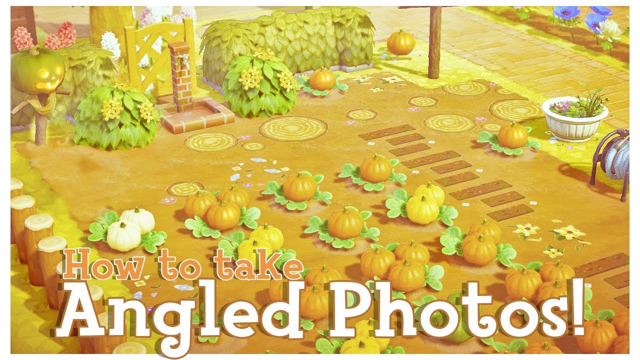 How to get ANGLED Photos in ACNH! | SUPER EASY!! - YouTube