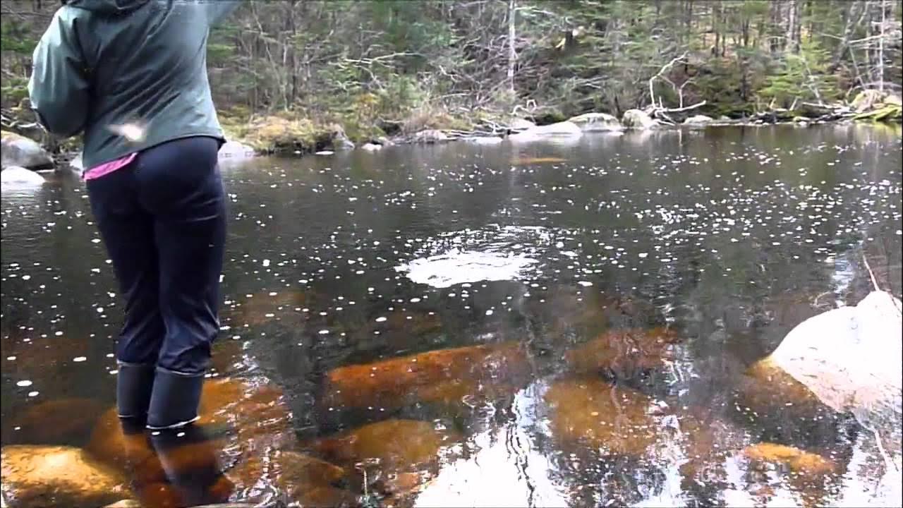 Nova Scotia fly-fishing part 57 - YouTube