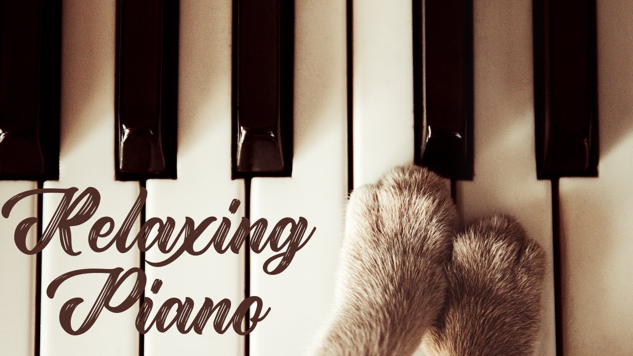 Slow Background Piano Music | Relaxing Piano Playlist Free Copyright ...