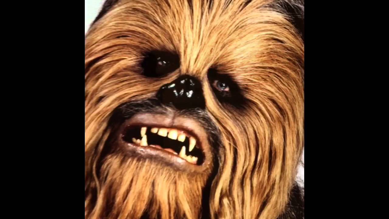Chewbecca at home - YouTube