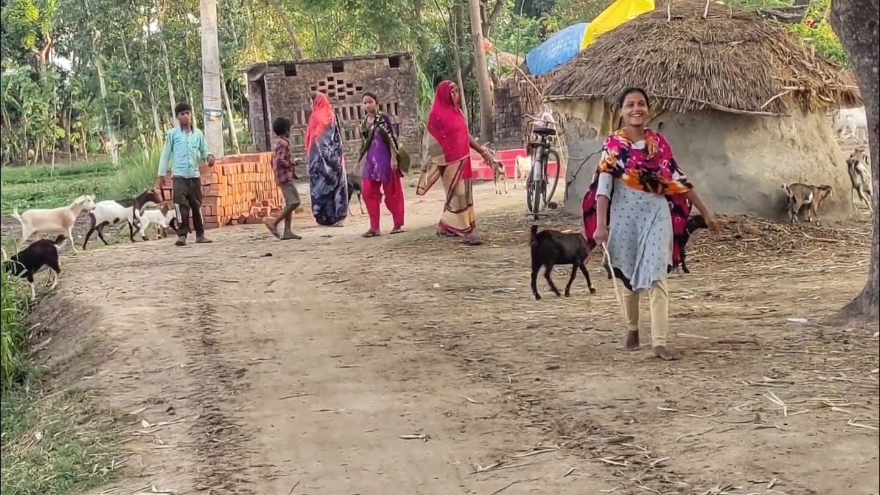 Evening Routine Village Life In India || Real Life in Indian Village ...
