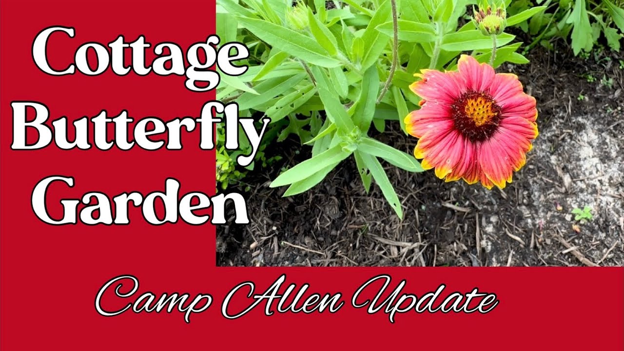 April 9,2024 Cottage Butterfly Garden: update on the native Texas ...