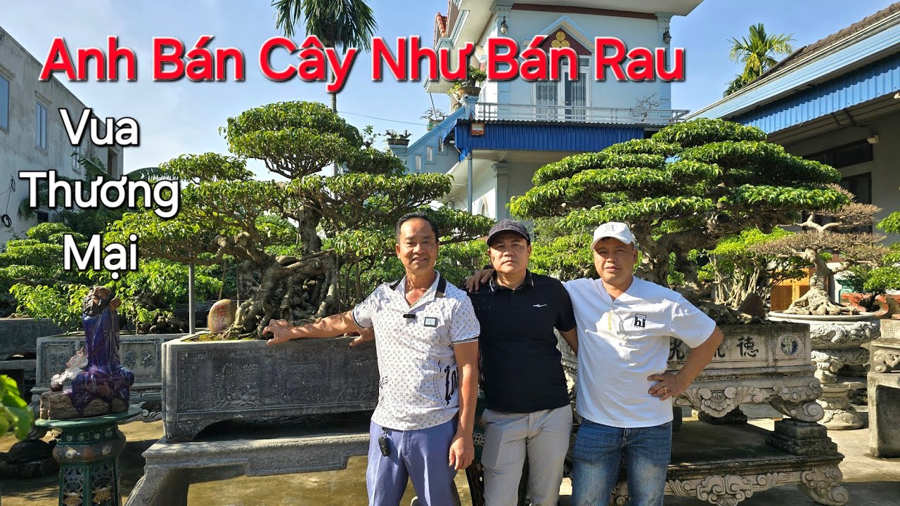 KHIẾP THẬT ! Anh ý BÁN CÂY NHƯ BÁN RAU - NV anh THỊNH - Thủy Nguyên ...