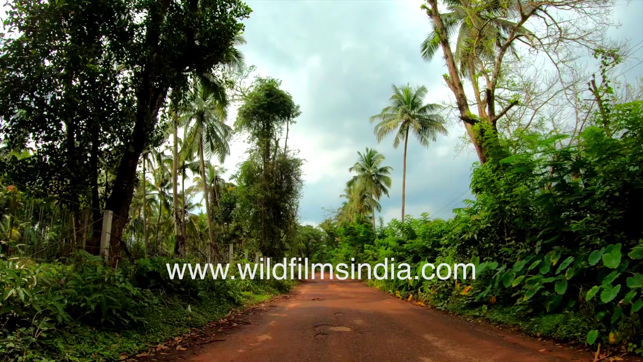 Driving on dirt road interiors of Goa with Gopro | Virtual tour of ...