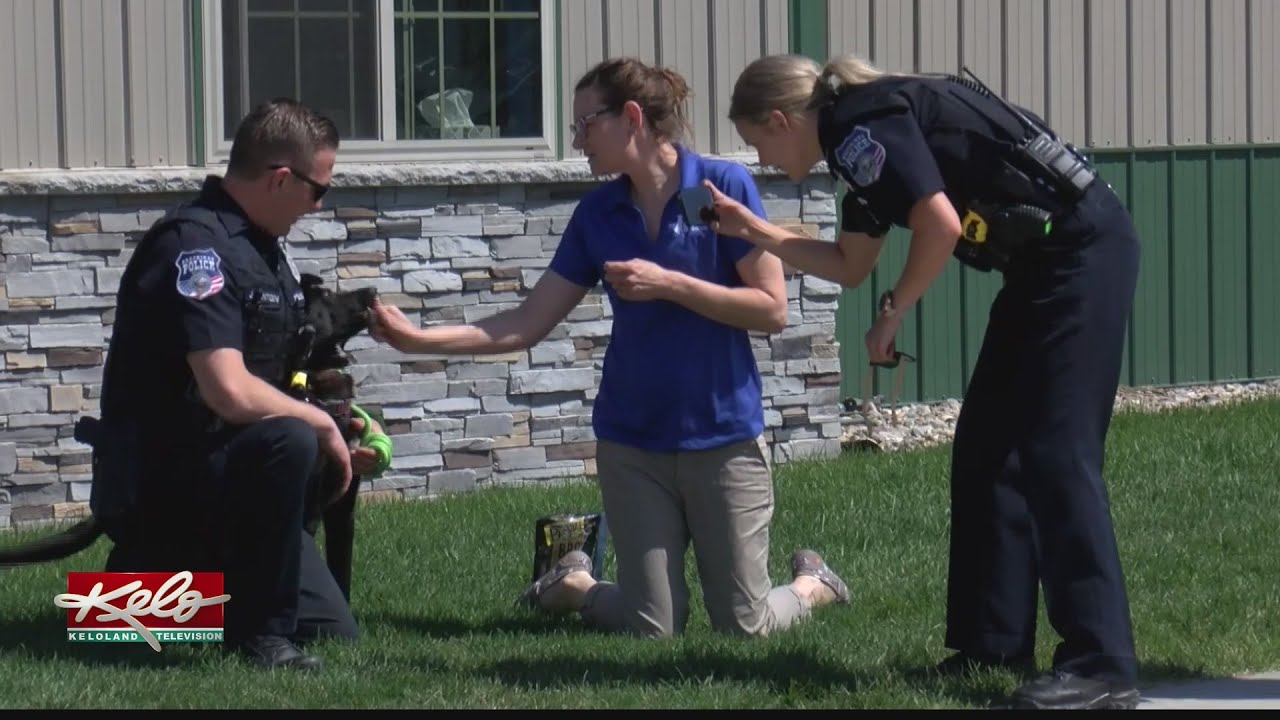 Brookings Police Department helping shelter animals find forever homes ...