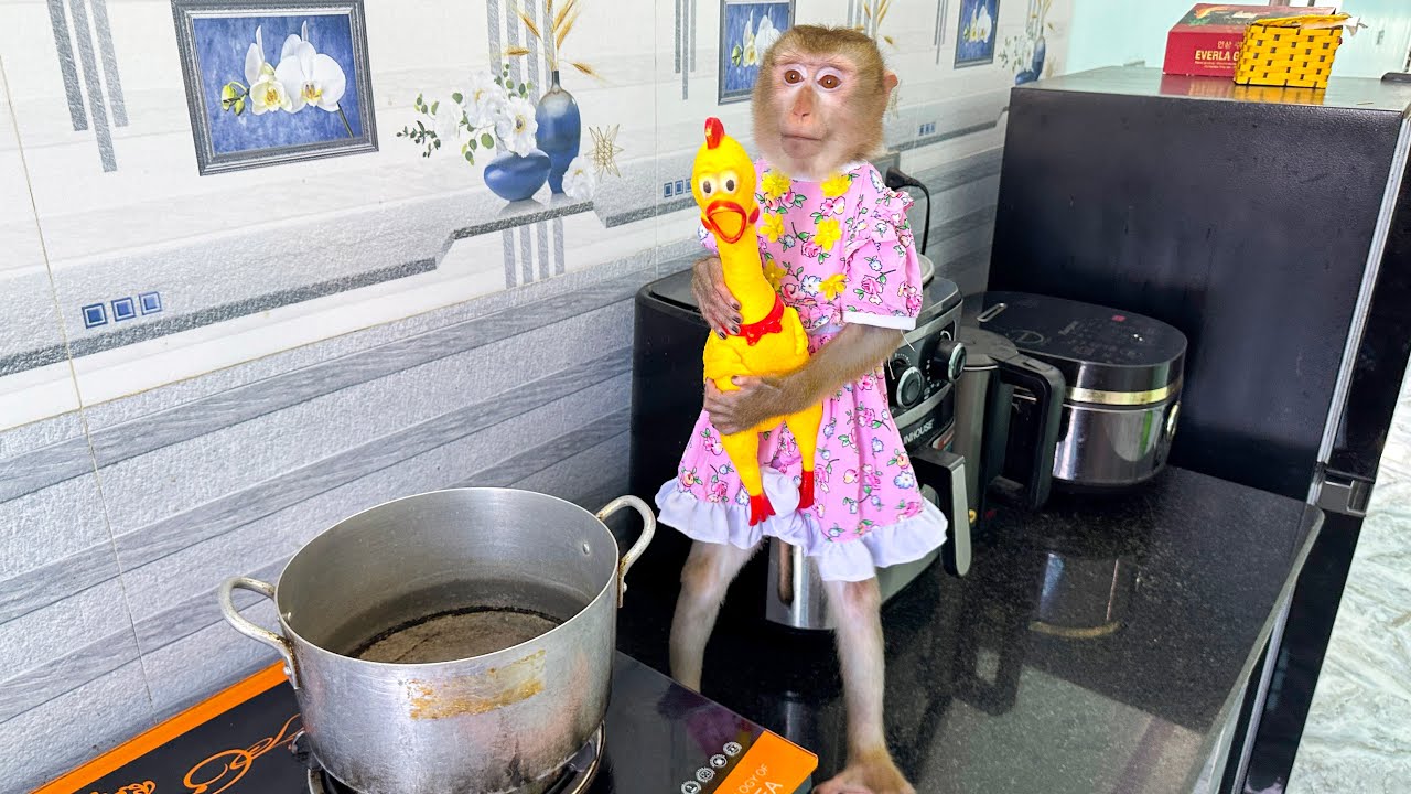 Monkey Kaka went into the kitchen to cook for hungry Diem - YouTube