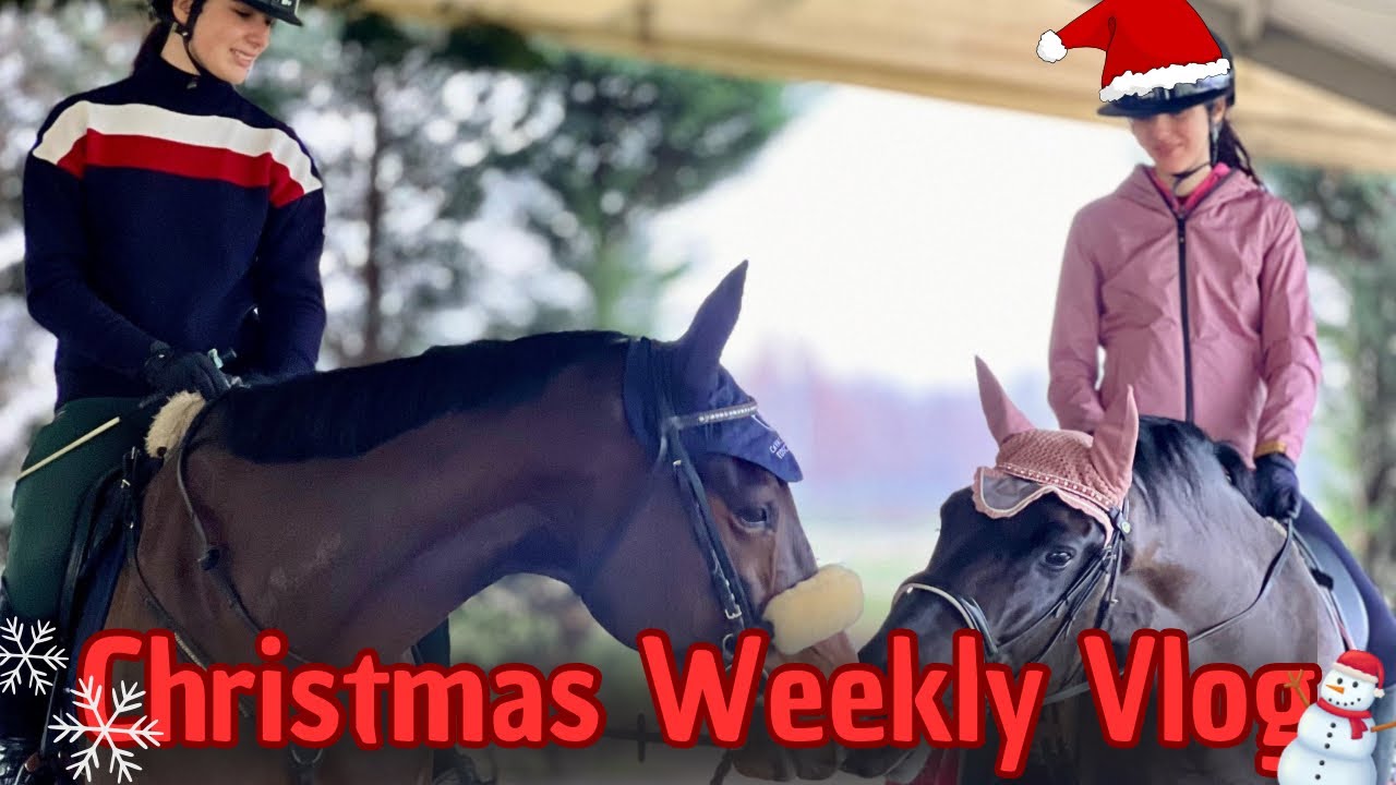 Christmas Weekly Vlog🎄|Cami&Gio - YouTube