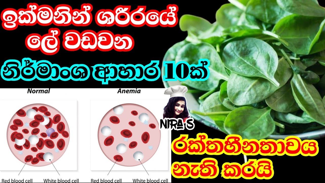 ඉක්මනින් ලේ වඩවන නිර්මාංශ ආහාර 10ක් | 10 vegetarian food for anemia ...