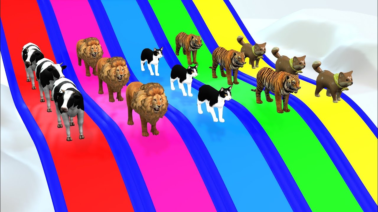 Long Slide Game With Cow Lion Cat Tiger Dog- 3d Animal Game - YouTube