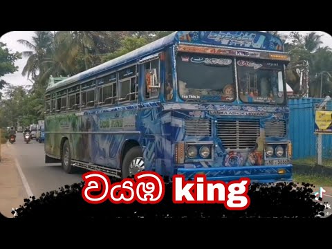 වයඹ king 👑 #sri_lanka_modifi_bus - YouTube