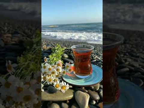 #BirAvuçŞiir                                              Çayın da Derdi Var ~ Şamil Akay