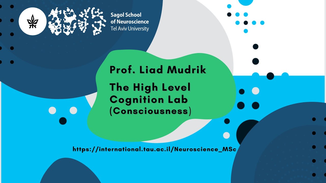 Prof. Liad Mudrik, The High Level Cognition Lab (Consciousness) - YouTube