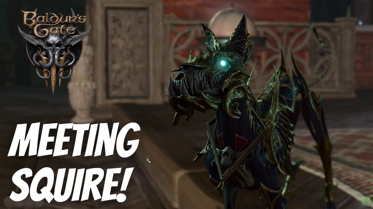 Meeting Squire The BEST Girl! Baldur's Gate 3 - YouTube