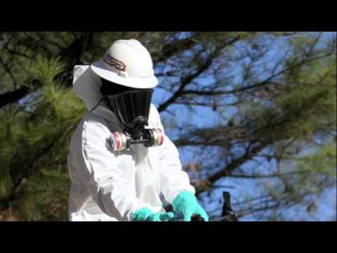 Bad Omen for 2011? Birds Falling From The Sky And Fish Dying In Rivers ...