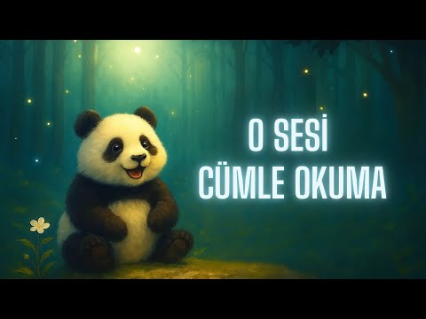 O harfi cümle okuma çalışması  2025 - 2026