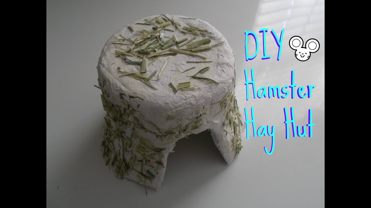 DIY: Hamster Hay Hut! - YouTube