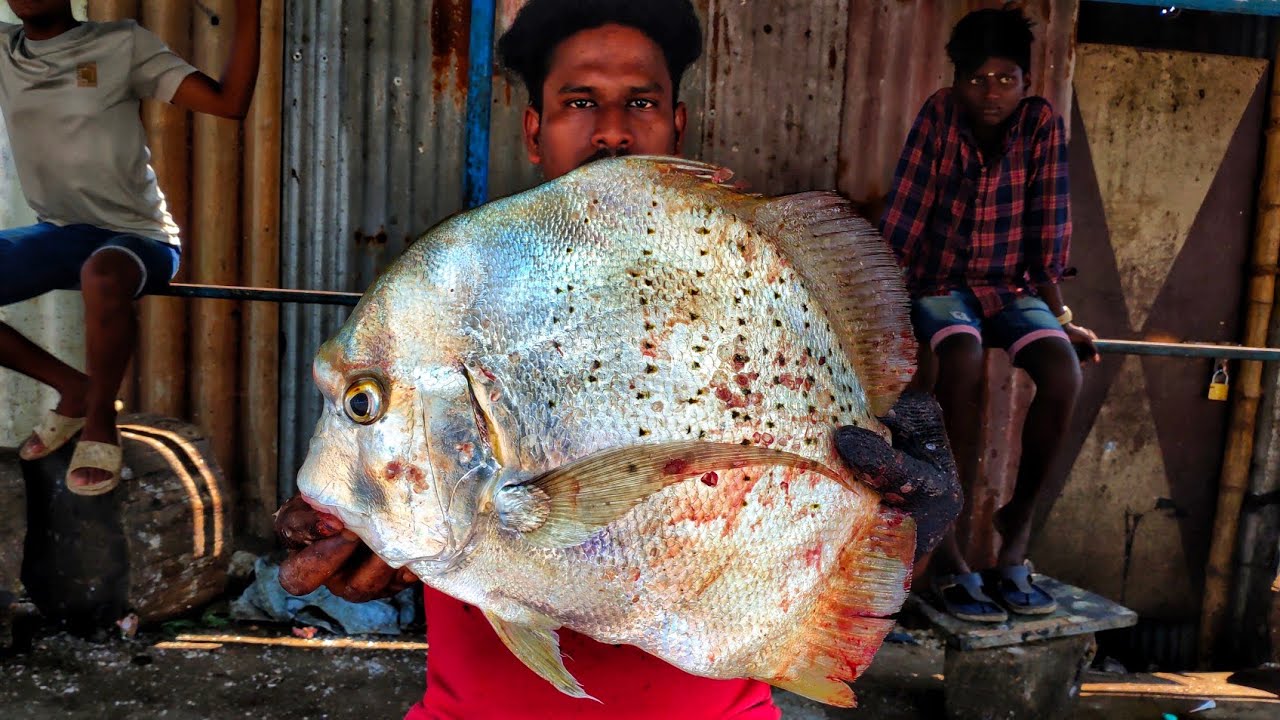 KASIMEDU🔥PRAKASH/SILVER SPADE FISH/KASIMEDU FISH CUTTING/SEAFOOD/FAST ...