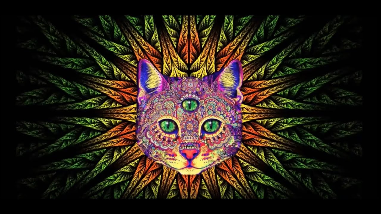 Rave Mix #1 Psy Trance, Minimal, Goa Trance, Heavy Bass [10 Hours ...