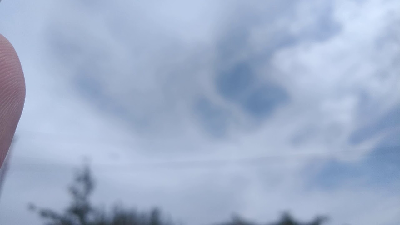 Bird entity knocks camera out of focus 🦅 Cloaking bird 👻 - YouTube