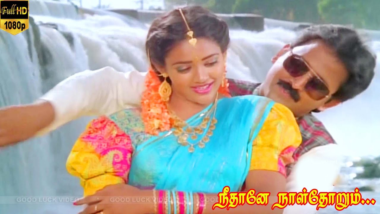 Ilaiyaraja superhit songs | நீதானே நாள்தோறும் பாடல் | Ramesh Aravind ...