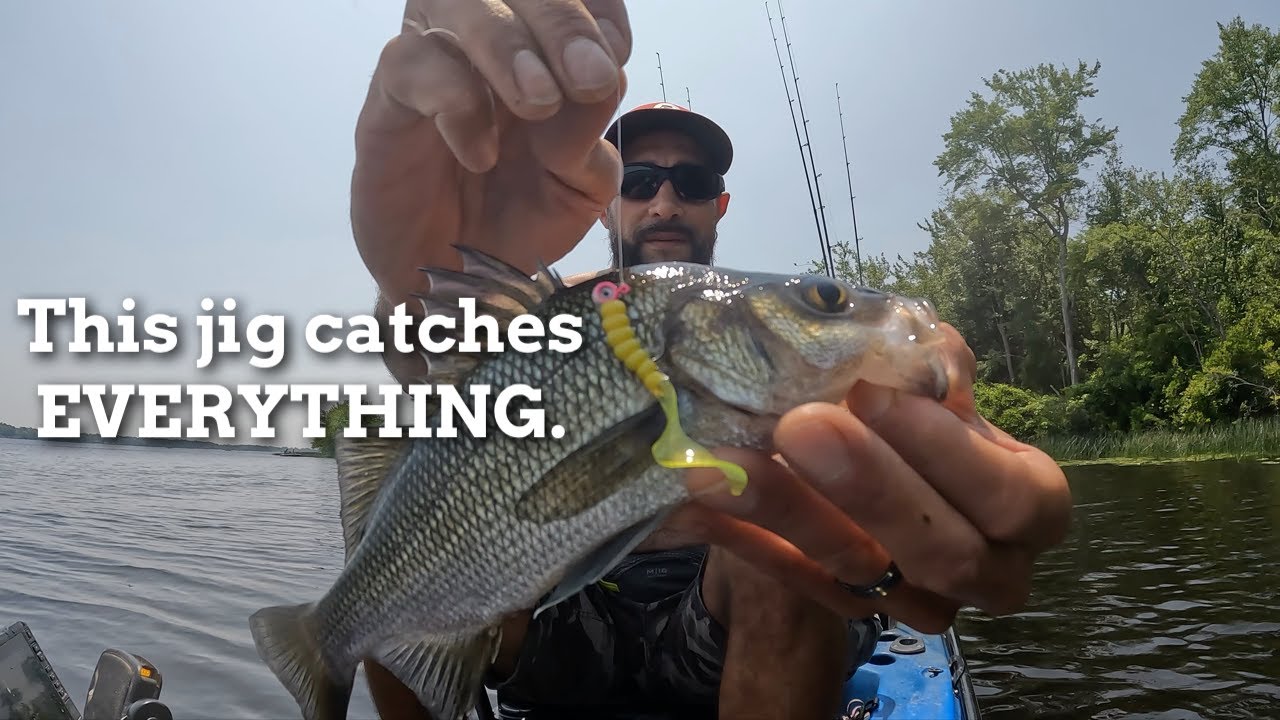 Big Post Spawn Bluegills + My Biggest Fish This Year!! - YouTube
