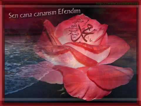 MUSTAFA CIHAT!!!   SENI ANLATAMAM