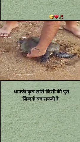 kachhuwa @@@@@ - YouTube