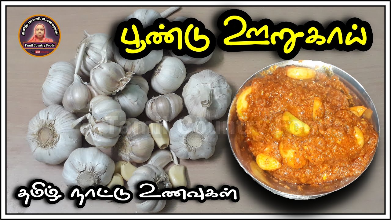 poondu oorugai | Garlic Pickle Recipe in Tamil | instant mango pickle ...