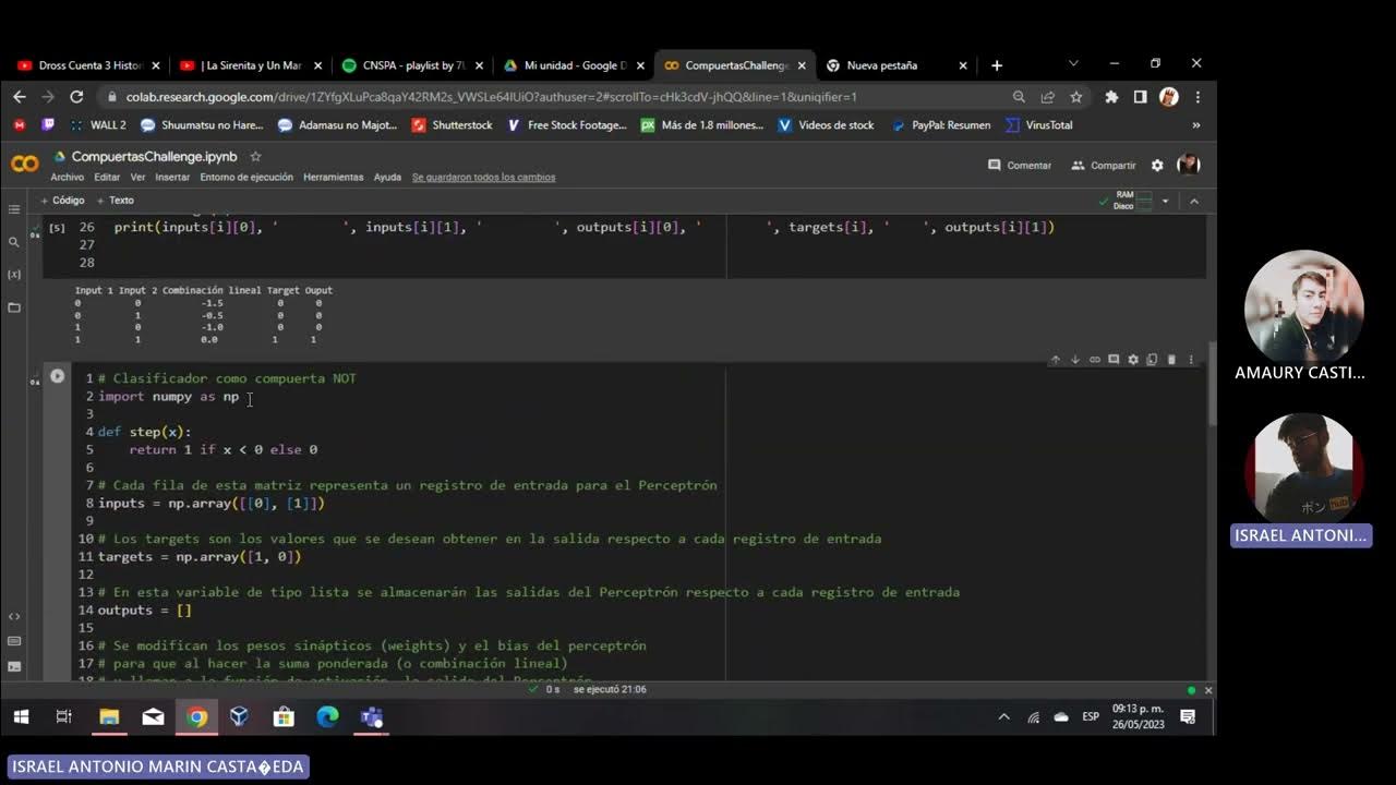 Práctica 1_Deep Learning (DL): El perceptrón como clasificador - YouTube