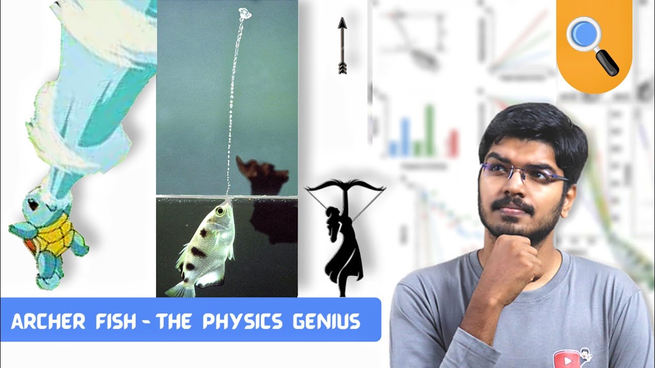 Archer Fish - The Physics Genius | Fluid Dynamics, Refraction, Speed ...