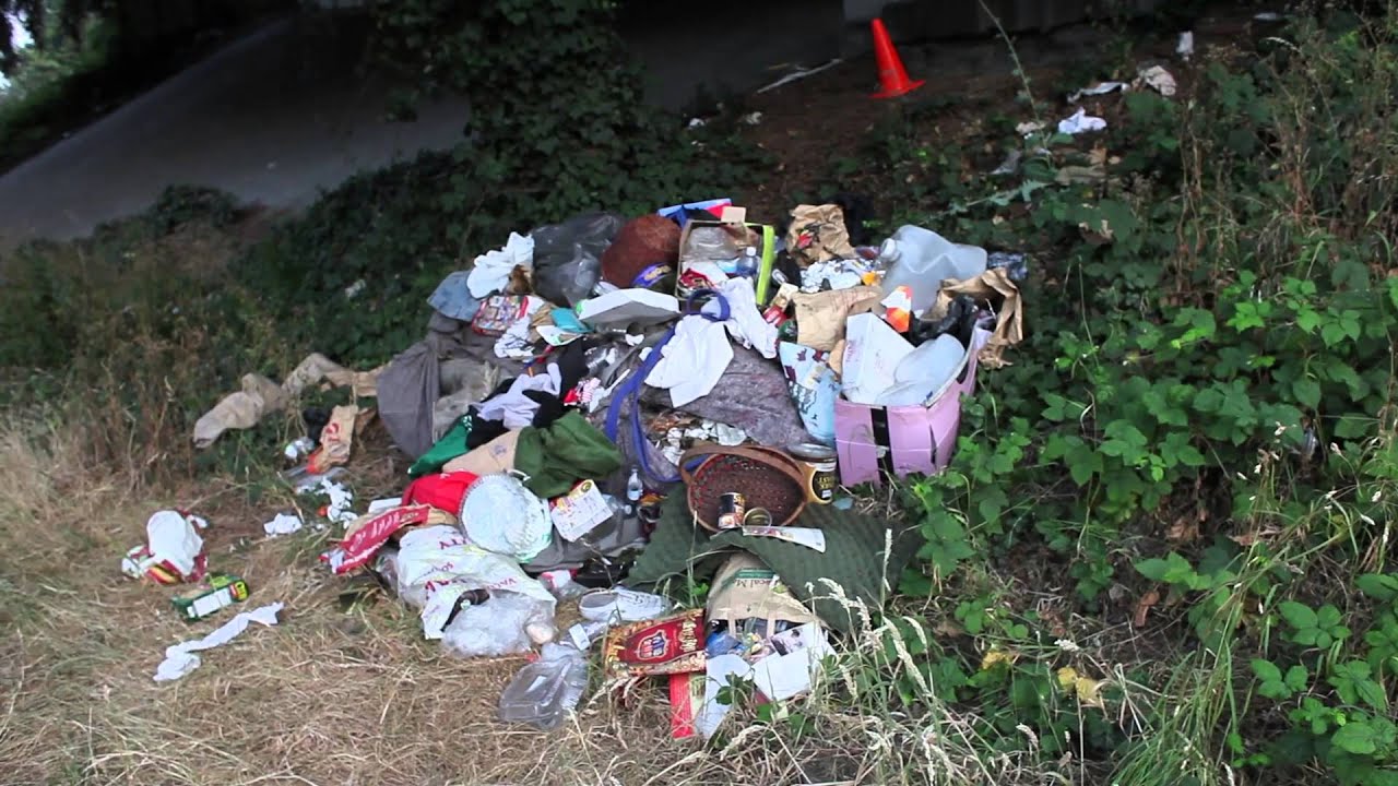 Litter Field Trip downtown seattle - YouTube
