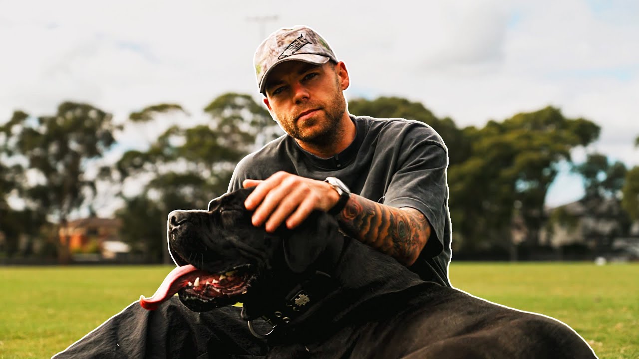 A day with Jamie Elliott 🐶 - YouTube