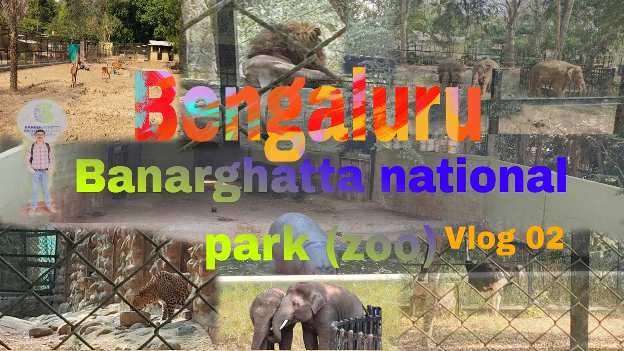 Bannerghatta national park, Bangalore zoo Bannerghatta zoo #Video # ...