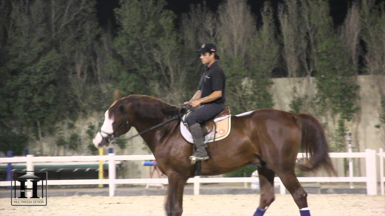 Hanan Multimedia Design : The Horseback Riding Trainer Jorge Mario ...