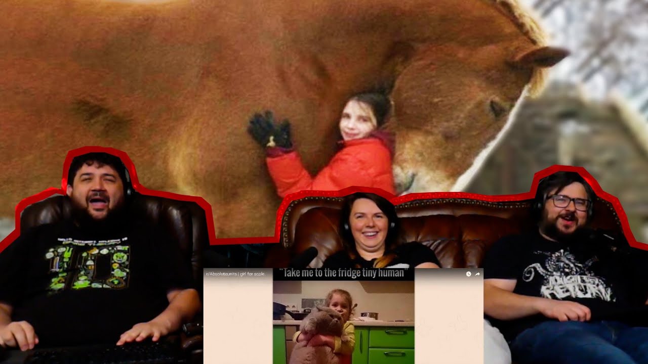 r/Absoluteunits | girl for scale. - @EmKay | RENEGADES REACT - YouTube