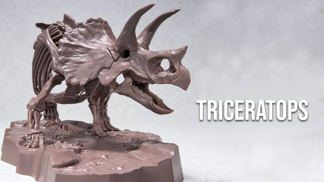 Imaginary Skeleton Triceratops [Bandai Product Preview] USA Gundam TV ...