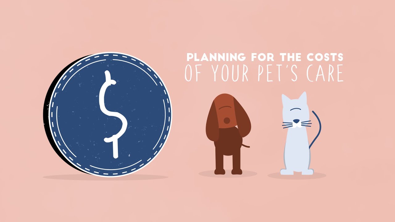 Pet Care Costs: Budgeting for Your Pet’s Happy, Healthy Life - YouTube