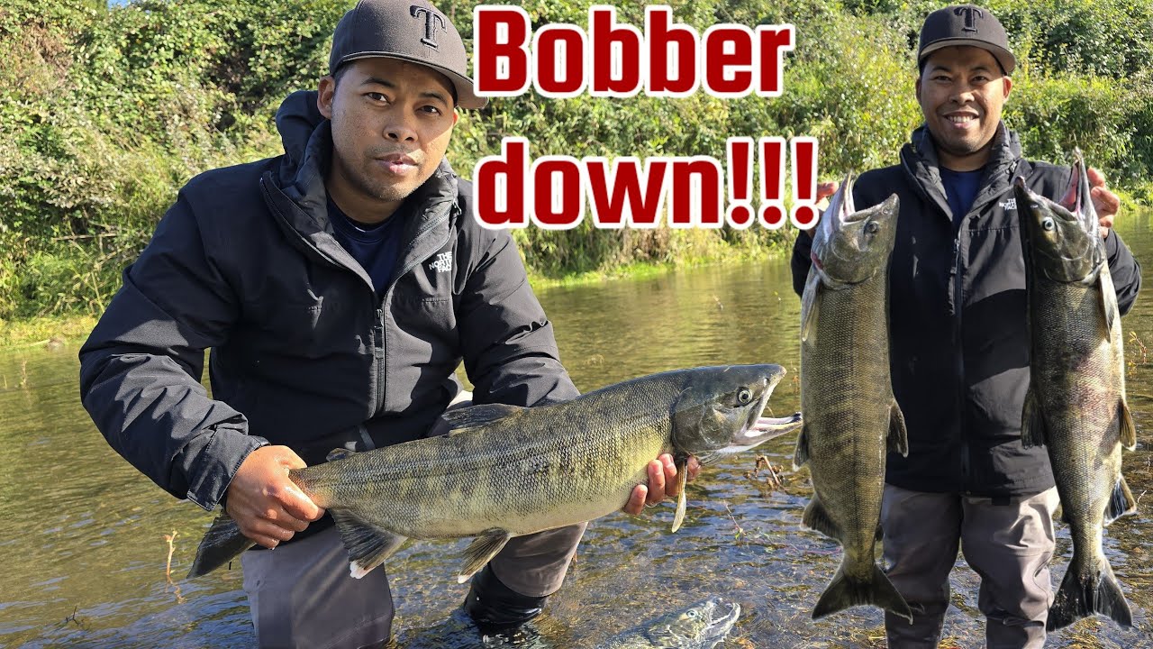 Chum Salmon BOBBER DOWN First Cast - YouTube