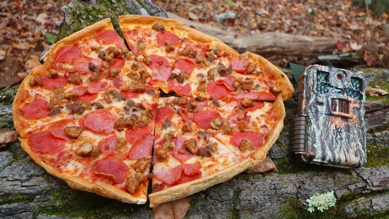 What Happens to a PIZZA Left in the Woods? (Trail Camera) - YouTube