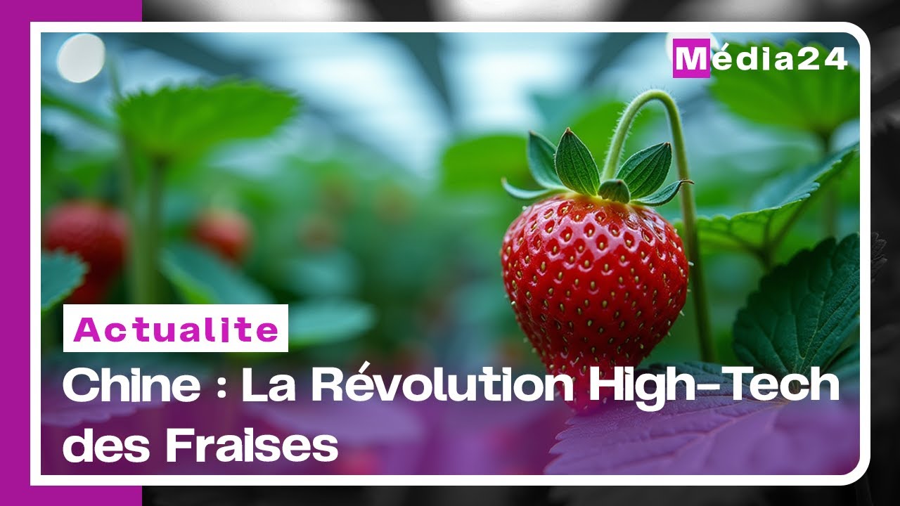Avec 20x la taille de Paris en culture, la Chine devient première ...