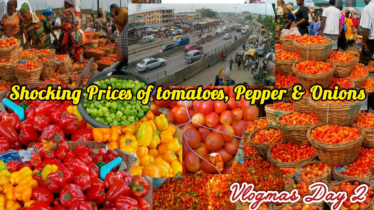 VLOGMAS DAY 2: Price of Food essentials in Mile 12 Market; Tomatoes ...