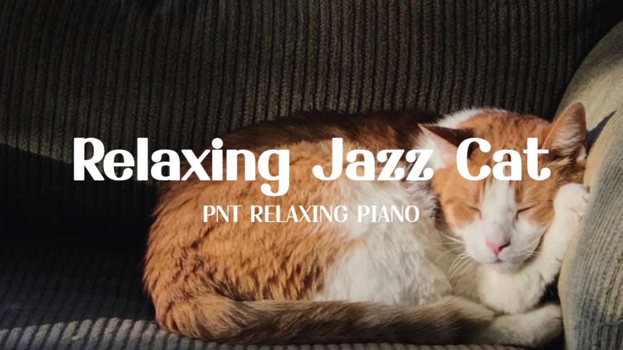 Relaxing Jazz Piano I Relaxing Jazz Cat I enjoy ! - YouTube