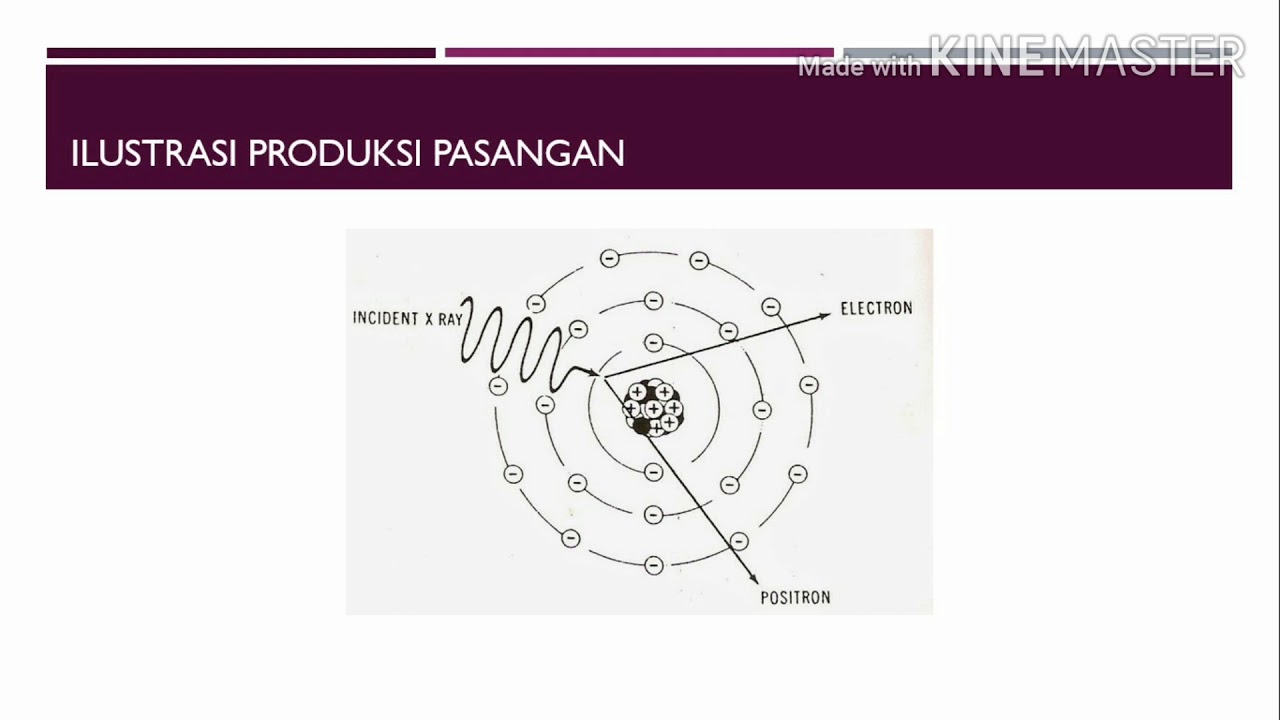 Penerapan Instrumentasi Sensor Scintillation Counters dan Photodioda ...
